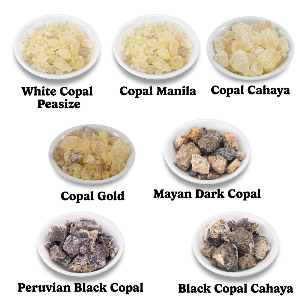 Copal Incense Resin Sampler Variety Pack - 7 Great Copals – Soul Niche